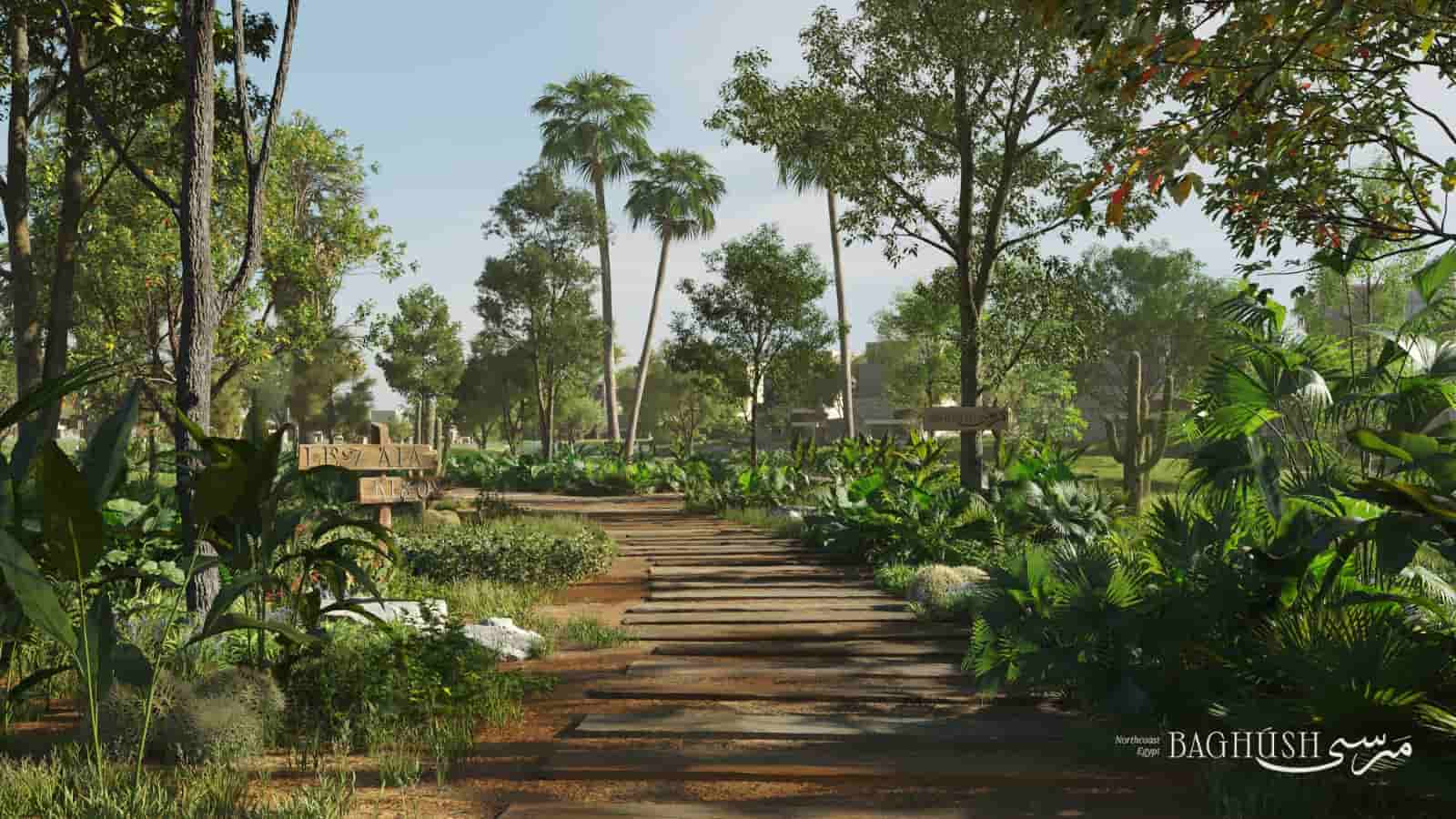 Marsa Baghush North Coast Elevation Realestate